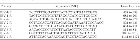 Table 1 From Reverse Transcription Recombinase Aided Amplification Assay Combined With A Lateral