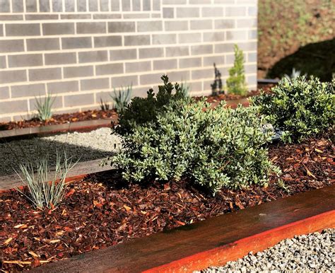 What Is Mulching And How To Do It