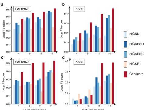 Model Performance Comparison In Cross Chromosome And Cross Chromosome Download Scientific