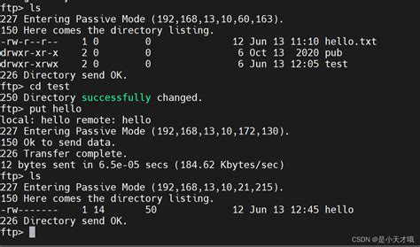 linux服务 vsftp实现上传 vsftpd开启文件上传 csdn博客