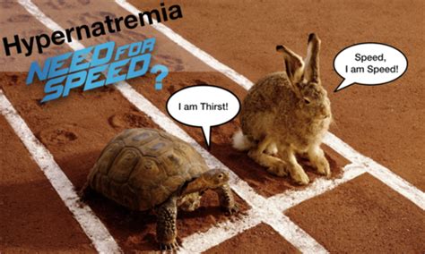 Fixing Hypernatremia Acting Fast Or Acting Slow — Nephjc