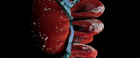 Serverless Security Best Practices Dev Community