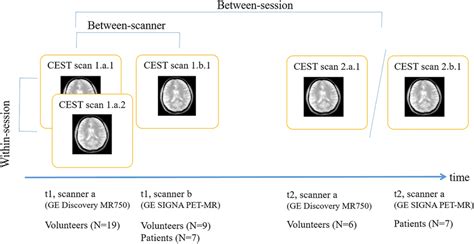 Description Of Reproducibility Experiments Including Within Session Download Scientific