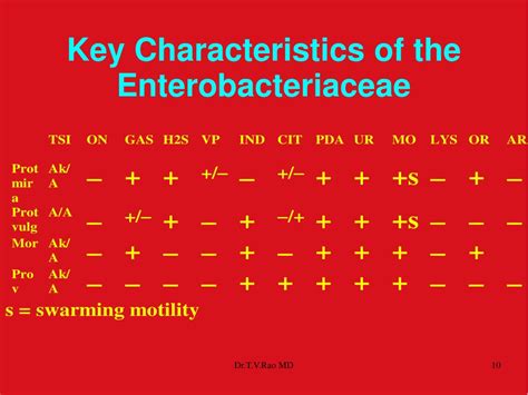 Ppt Biochemical Tests Enterobacteriaceae Powerpoint Presentation