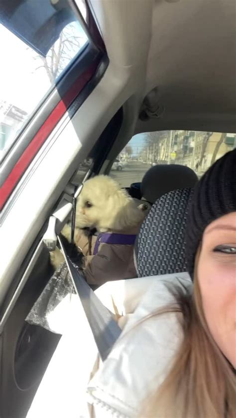 Вот и мы дождались зиму ️☃️