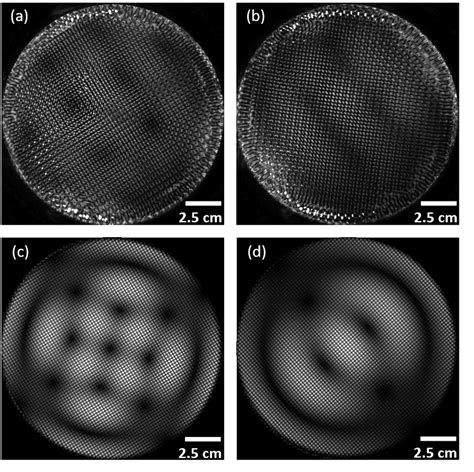 Spatial Structure Of Long Wavelength Modes A B Visualization Of The Download Scientific