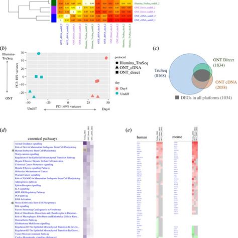 Exon Level Expression Analysis Across The Sequencing Platforms A