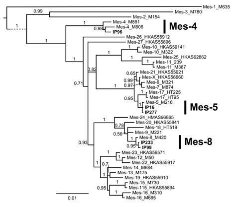 Bayesian Phylogeny Inference Tree Based On Five Gene Concatenated Download Scientific Diagram