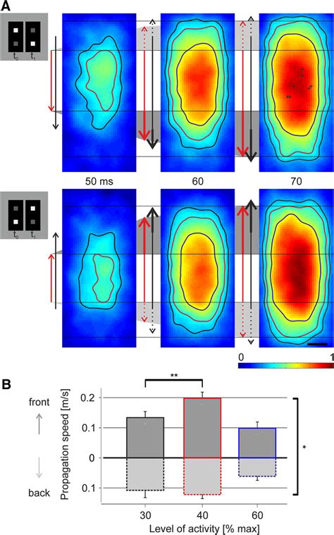 Summary Across Experiments A Spatiotemporal Overlay Of Activity Download Scientific Diagram