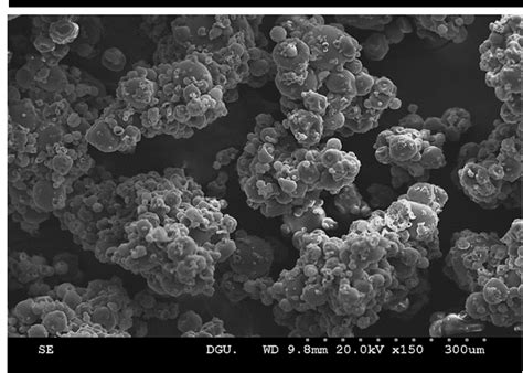Sem Micrographs Of A Raw And B J Agglomerated Mpips With Various Download Scientific
