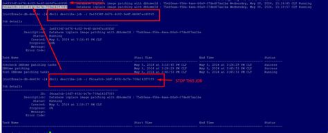 data base dbcli parching stop oracle forums