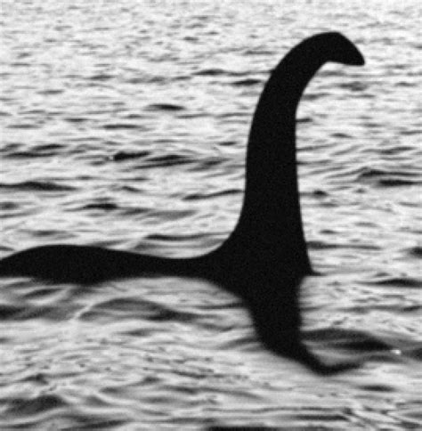 Лох несское чудовище сняли на видео с помощью беспилотника