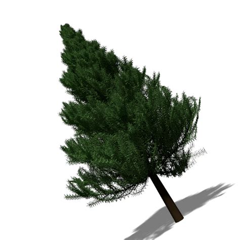 3d Pine Tree Model