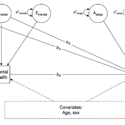 Quasi Causal Twin Model Controlling For Age And Sex A Additive Download Scientific Diagram Quasi Causal Twin Model Controlling For Age And Sex A Additive Download Scientific Diagram