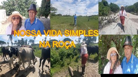 🔥vida Na RoÇa Nossa Vida Simples Na Roça🐮🥩 Será Que O Gado Está Bem