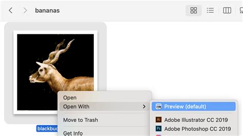 How To Convert BMP To PDF Methods