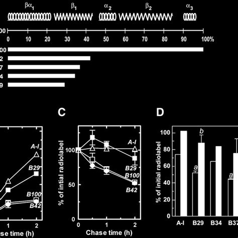 Construction Of Apob Fusion Proteins A Schematic Diagrams Of Apob 29 Download Scientific