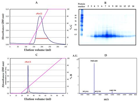 Marine Drugs Free Full Text Characterization Recombinant Production And Structure Function