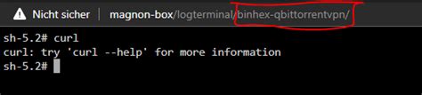 how can i get my public ip from a docker curl and wget not avaliable