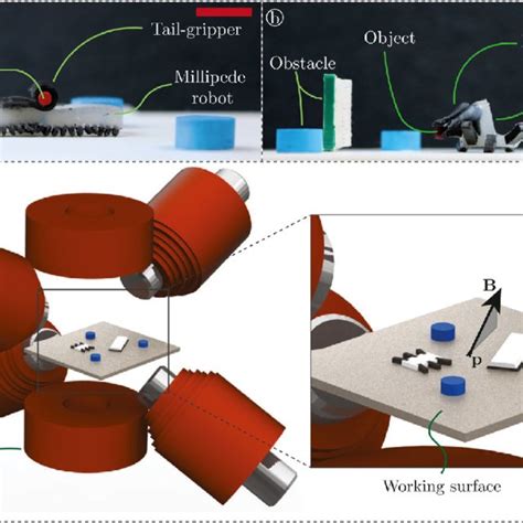 pdf tandem actuation of legged locomotion and grasping manipulation