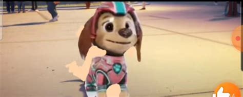 Paw Patrol The Mighty Movie By Braylau On Deviantart