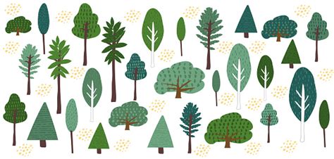 귀여운 나무 클립 아트 손으로 그린 평면 벡터 일러스트 숲 만화 요소의 나무 세트 자작 나무 전나무 소나무 가문비 나무 참나무