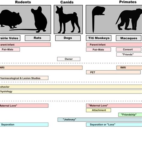Social Contexts A Methods B And Levels Of Assessment C In Download Scientific Diagram