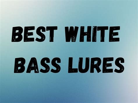 Best White Bass Lures Top 5 Lures You Need To Try