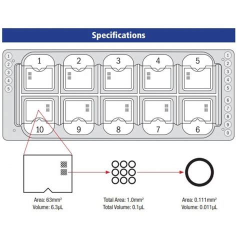 Quick Read Microscope Slide 10 Chamber Urinalysis Slide Globe 3805