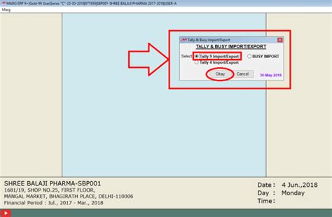 How To Export Marg Data And Import In Tally Software