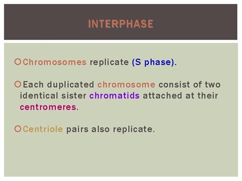 Meiosis Meiosis In Sexual Reproduction 2 Sex Cells