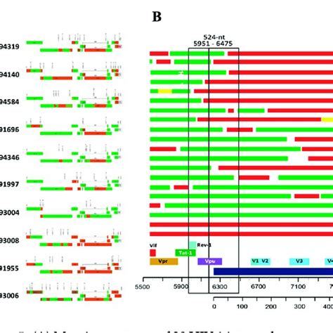 A Mosaic Structures Of 20 Hiv 1 Inter Subtype Recombinant T F