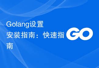 Golang Setup Installation Guide: Quick Guide-Golang-php.cn