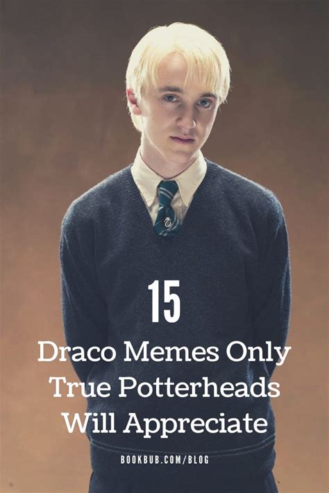 15 Draco Memes Guaranteed To Make Potterheads Laugh Out Loud Harry