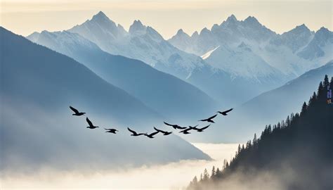 Where Do They Travel And What Challenges Do They Face Along The Way