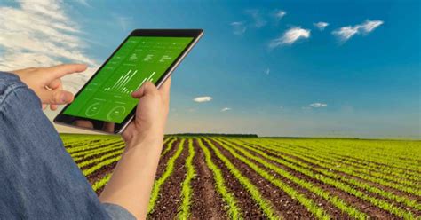 Smart Agriculture With Computer Vision Embedur