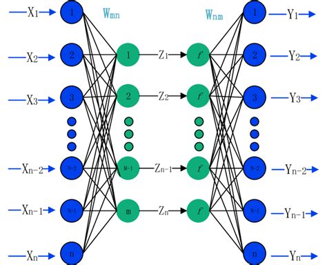Topological Graph Of The Autoencoder Download Scientific Diagram