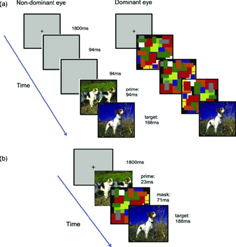 schematic representation of the cfs semantic priming paradigm from