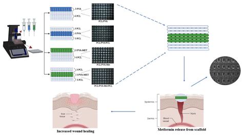 Production Of 3d Printed Bi Layer And Tri Layer Sandwich Scaffolds With