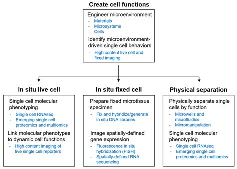 Strategies For Linking Single Cell Functions To Their Molecular Download Scientific Diagram
