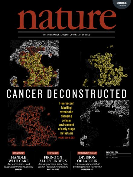 volume 572 issue 7771 29 august 2019