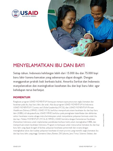 Usaid Momentum Joint Fact Sheet Indonesian 2022 Pdf
