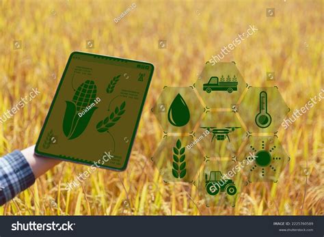 Smart Farming Internet Things Iot Concept Stock Photo Shutterstock
