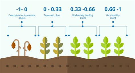Vegetation Indices And Their Interpretation Ndvi Gndvi Msavi2 Ndre