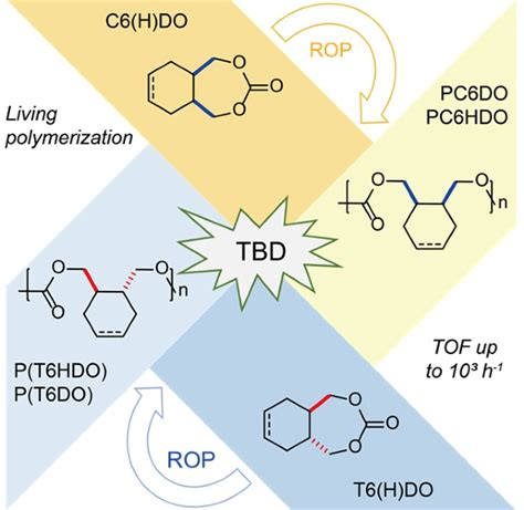 Well Controlled Organocatalytic Ring Opening Polymerization Of Seven Membered Cyclic Carbonates