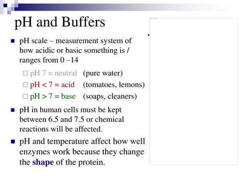 What Is A Buffer Ph Scale At Colby Westlake Blog What Is A Buffer Ph Scale At Colby Westlake Blog