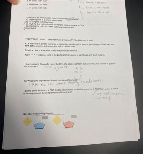 Solved A Nn Female X NN Male B NN Female X Nn Male C Nn Chegg Com