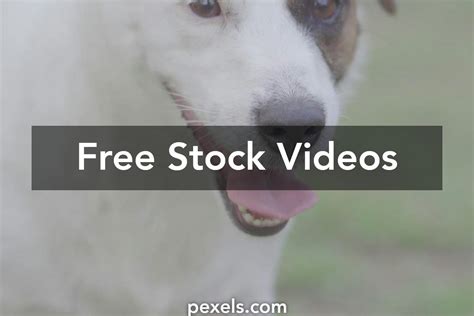 Three Teasing Tongues Videos Download The Best Free 4k Stock Video