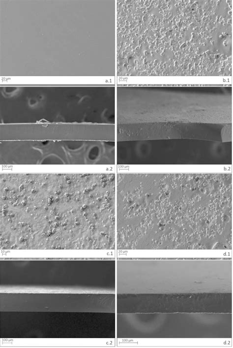 Micrographs Of Surface ×500 And Cross‐section ×200 Of Wpi