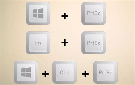 Print Screen Not Working On Windows 11 How To Fix It